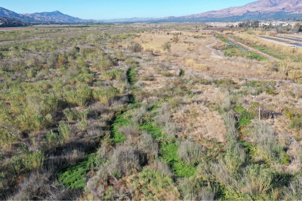 North Shiells Property - Santa Clara River Conservancy